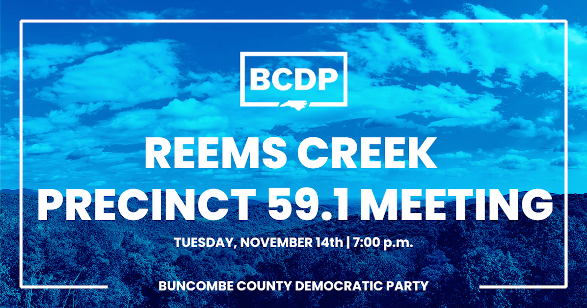 Reems Creek Precinct 59.1 Meeting · Buncombe Democratic Party